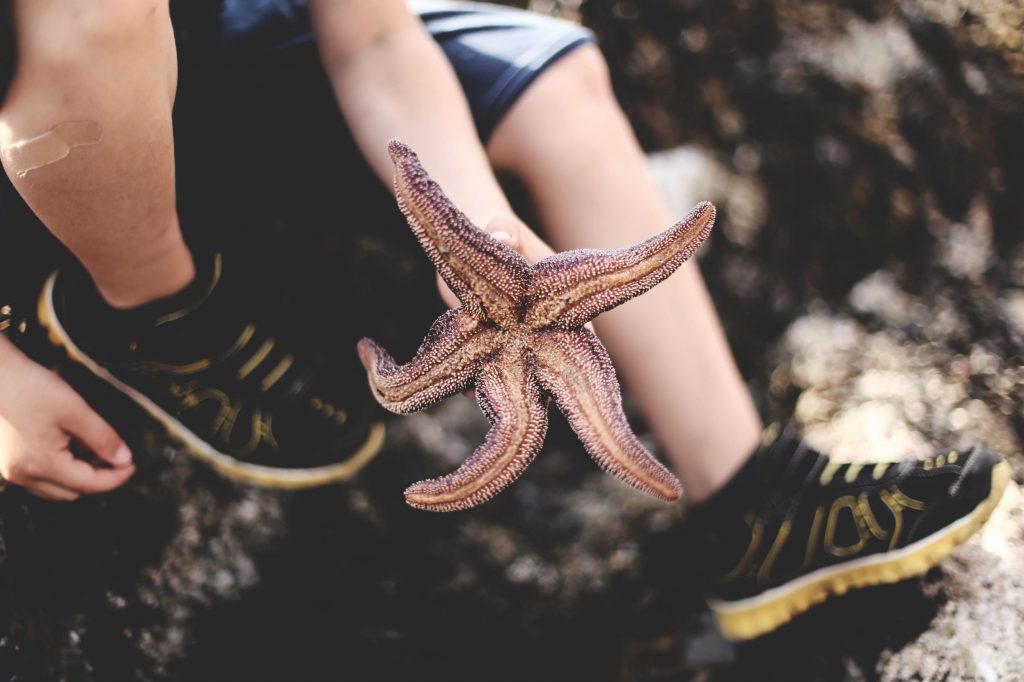 The Boy and the Starfish: What you do makes a difference - Promise Keepers